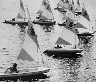 SUNFLOWER: Reviews, Specifications, Built, Engine | HarborMoor