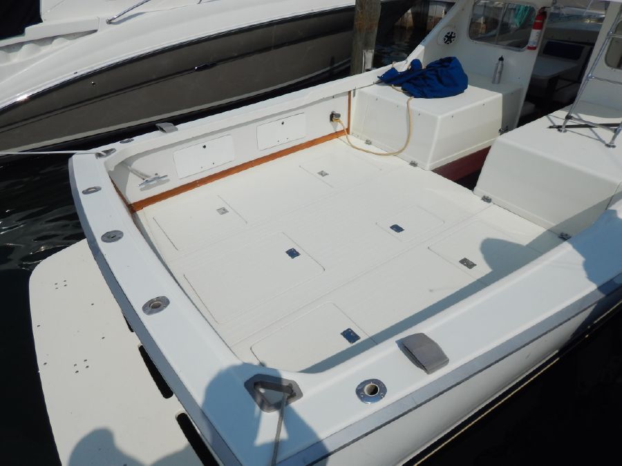 Fish Fly, Bertram Flybridge Cruiser 31'